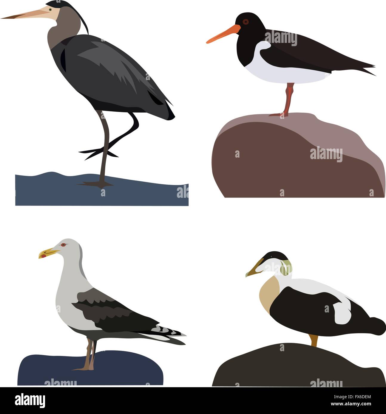 Set of sea birds, isolated vector Stock Vector Image & Art - Alamy