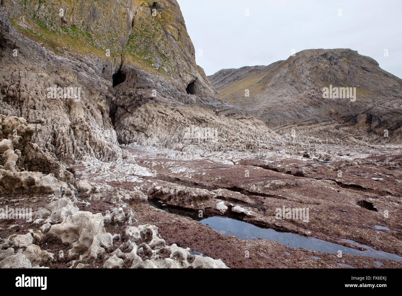 Red lady paviland hi-res stock photography and images - Alamy