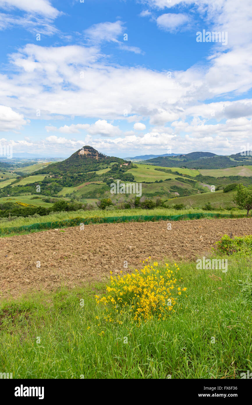 Magnificent Tuscan landscape, fields and meadows near Volterra in Italy ...