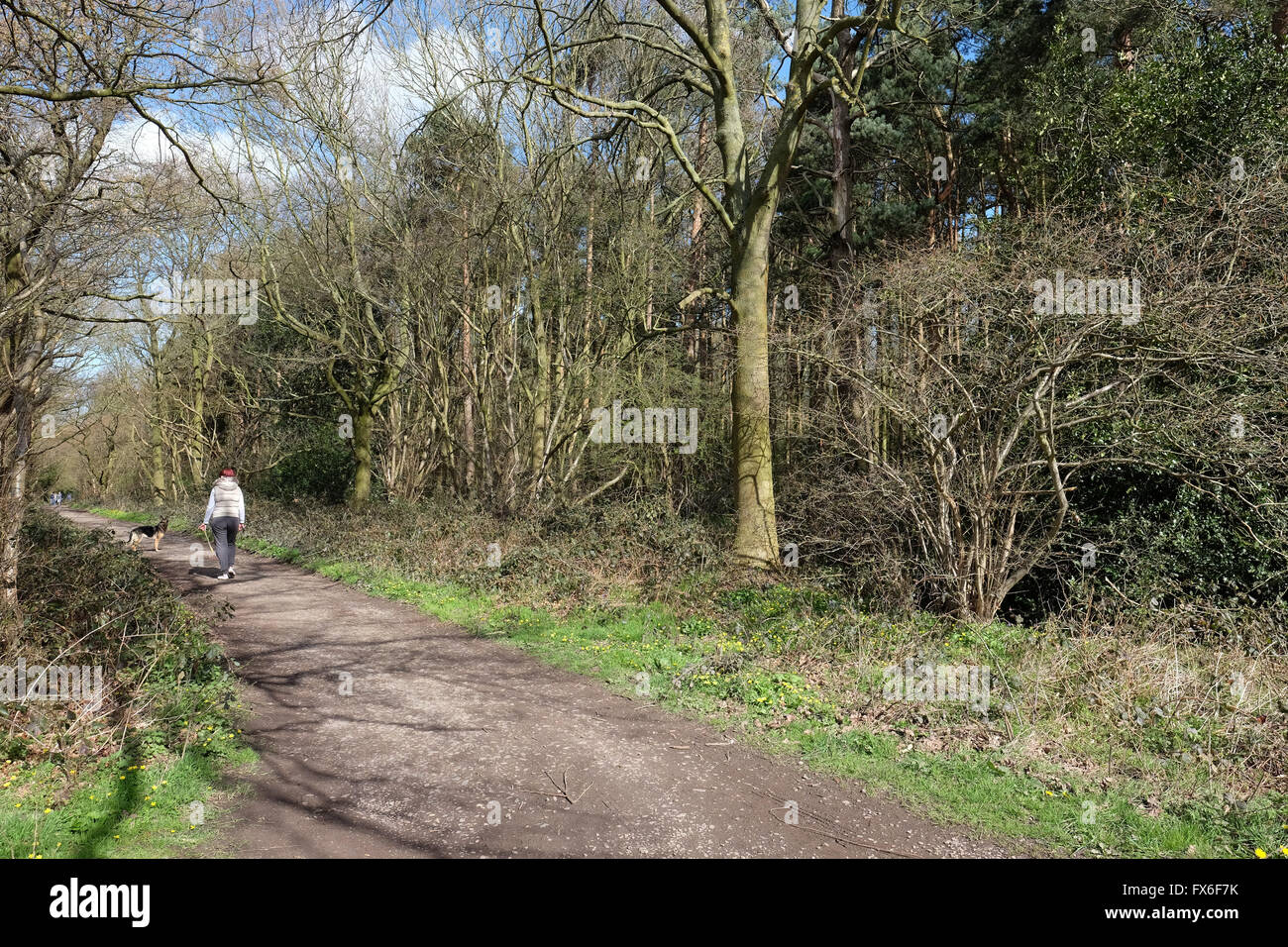 people walking along a country path Stock Photo - Alamy