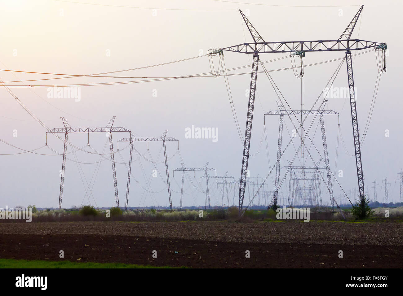 Electrical transmission towers in perspective Stock Photo - Alamy