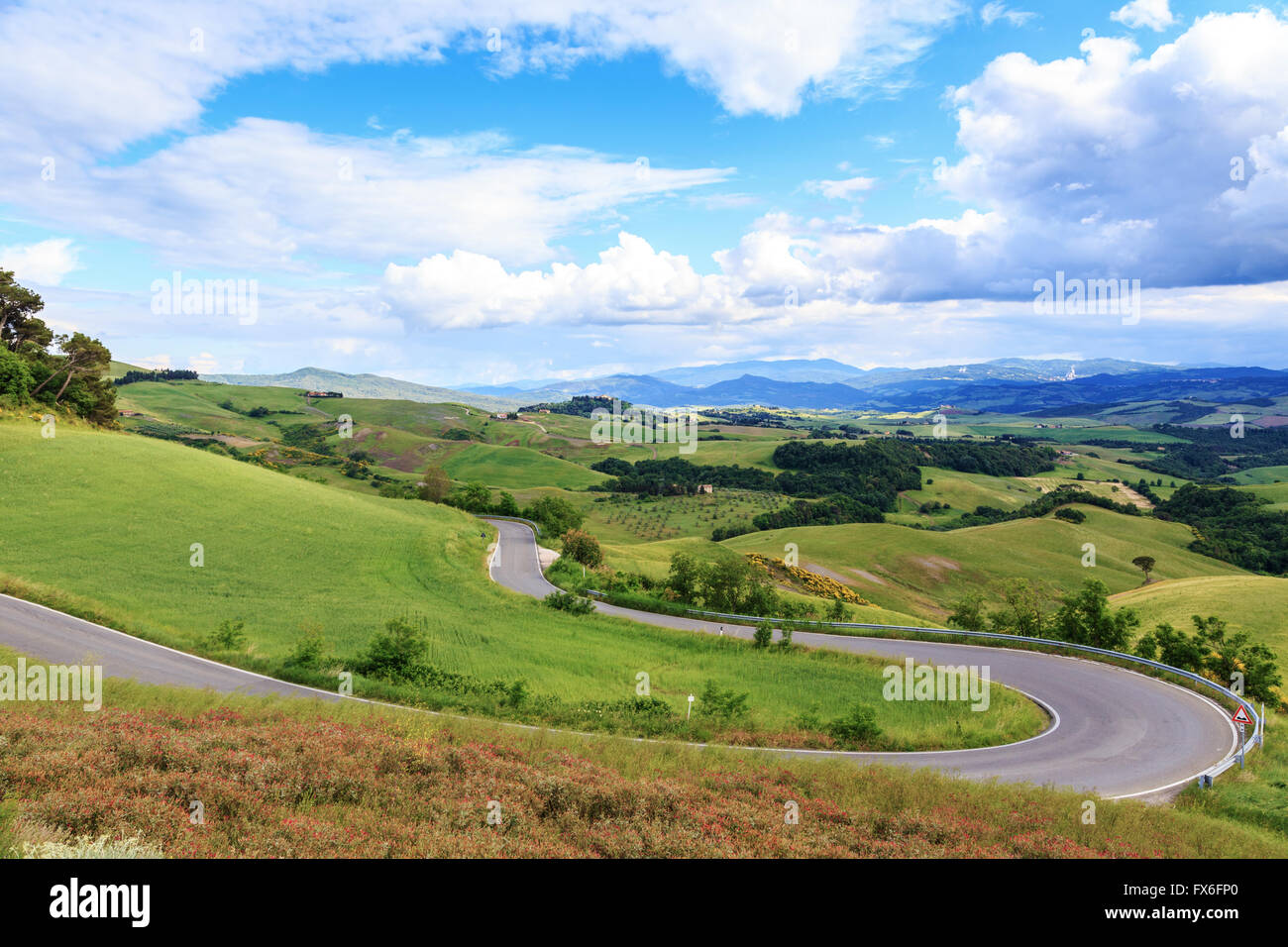 Road rural landscape of Tuscany and green rolling hills near Volterra ...