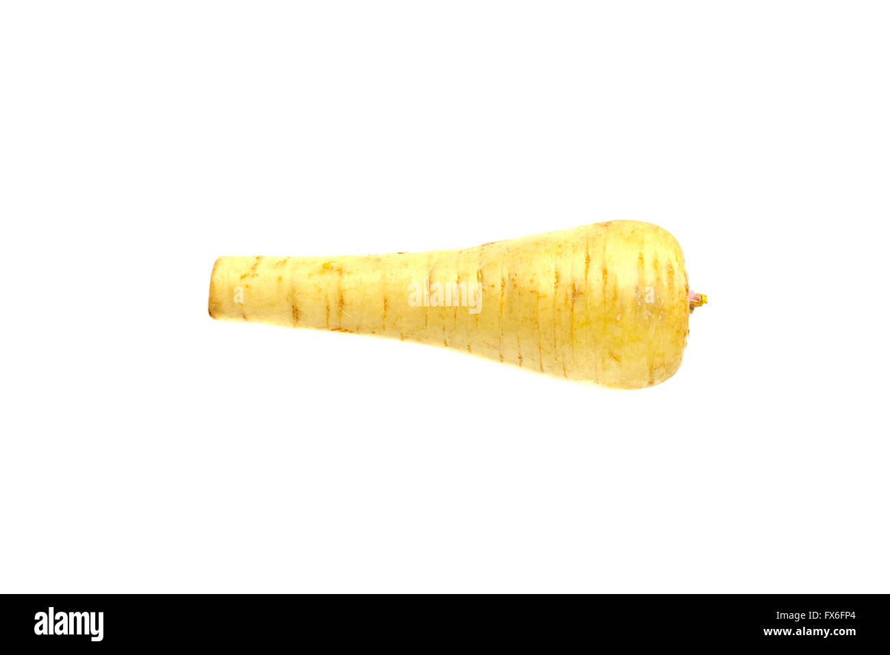 One parsnip photographed against a white background Stock Photo - Alamy