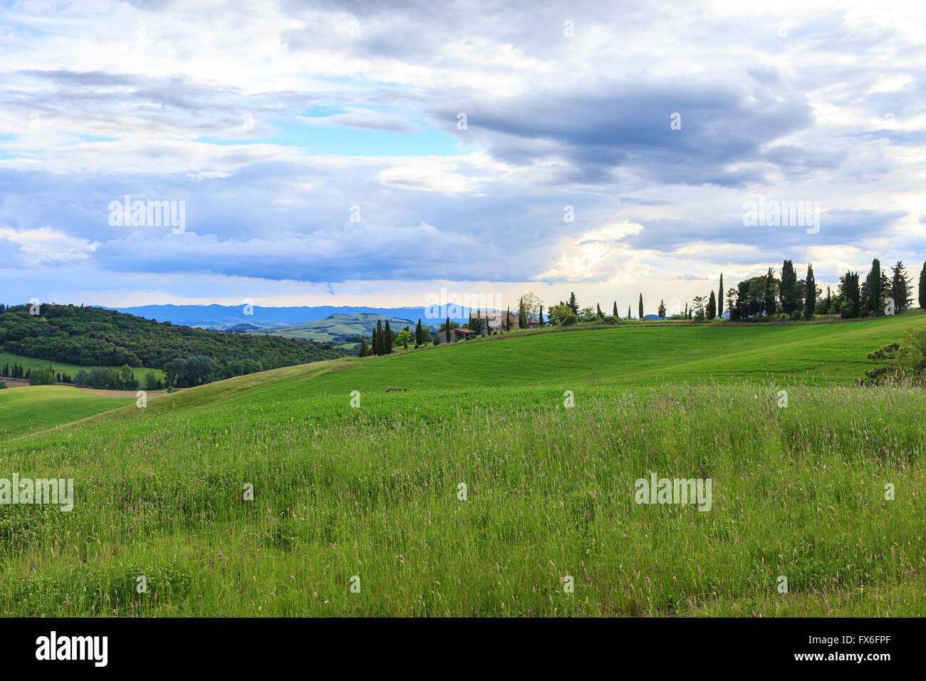 Magnificent Tuscan landscape, fields and meadows near Volterra in Italy ...