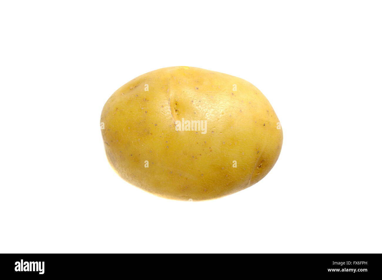 A yellow potato photographed against a white background Stock Photo - Alamy