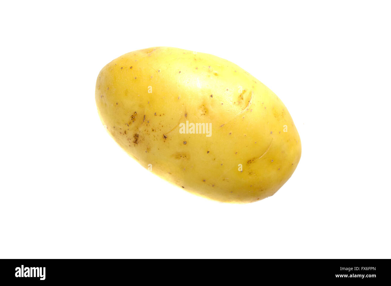 A yellow potato photographed against a white background Stock Photo - Alamy