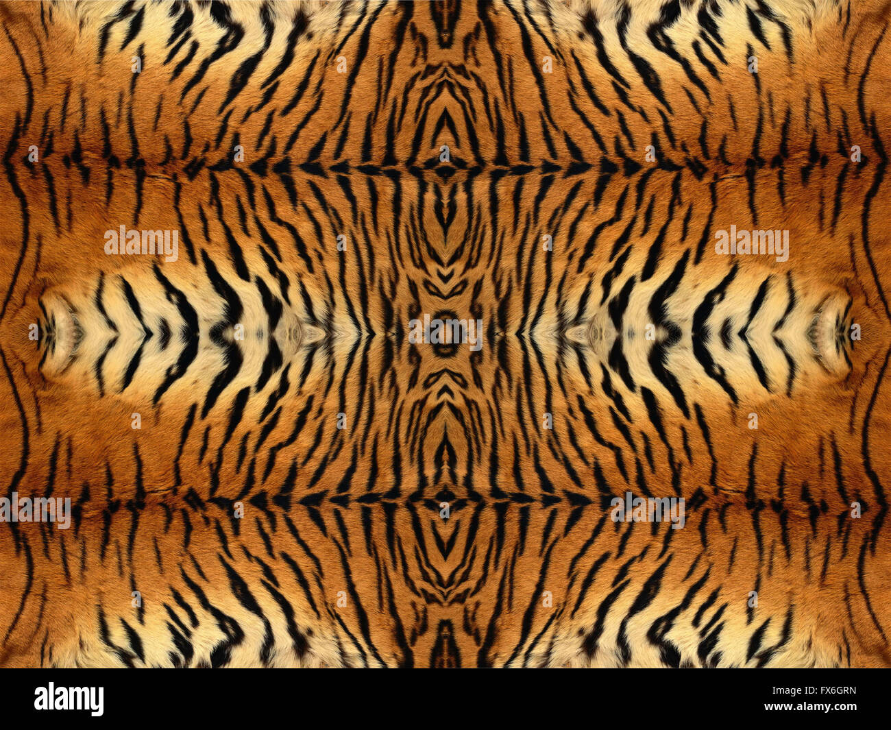 Tiger fur pattern hi-res stock photography and images - Alamy