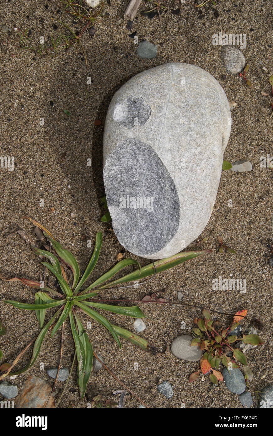 Stone on beach Stock Photo - Alamy