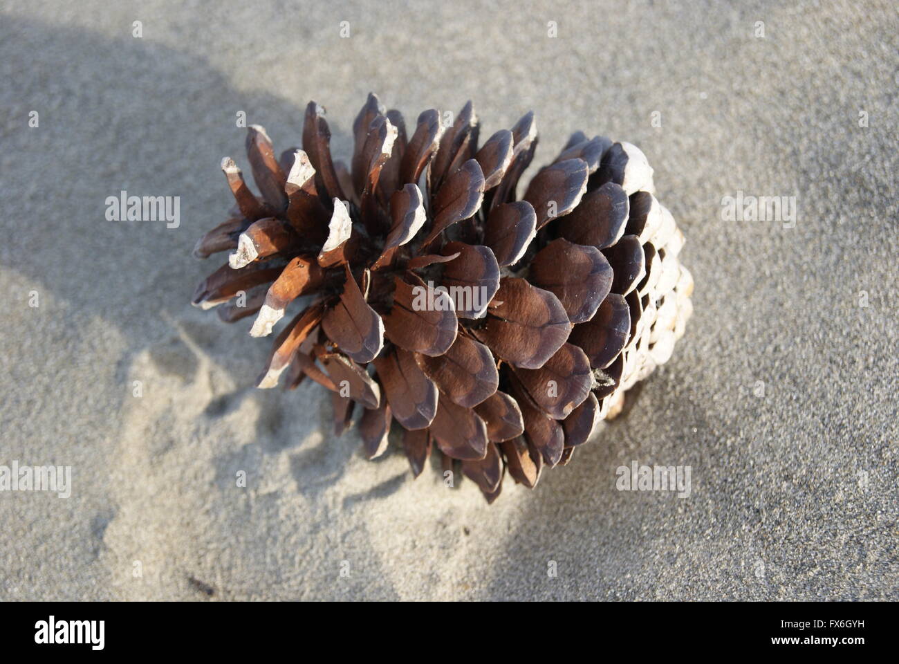 Cone of debris hi-res stock photography and images - Alamy