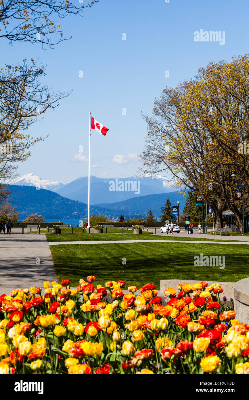 Ubc campus vancouver campus hi-res stock photography and images - Alamy