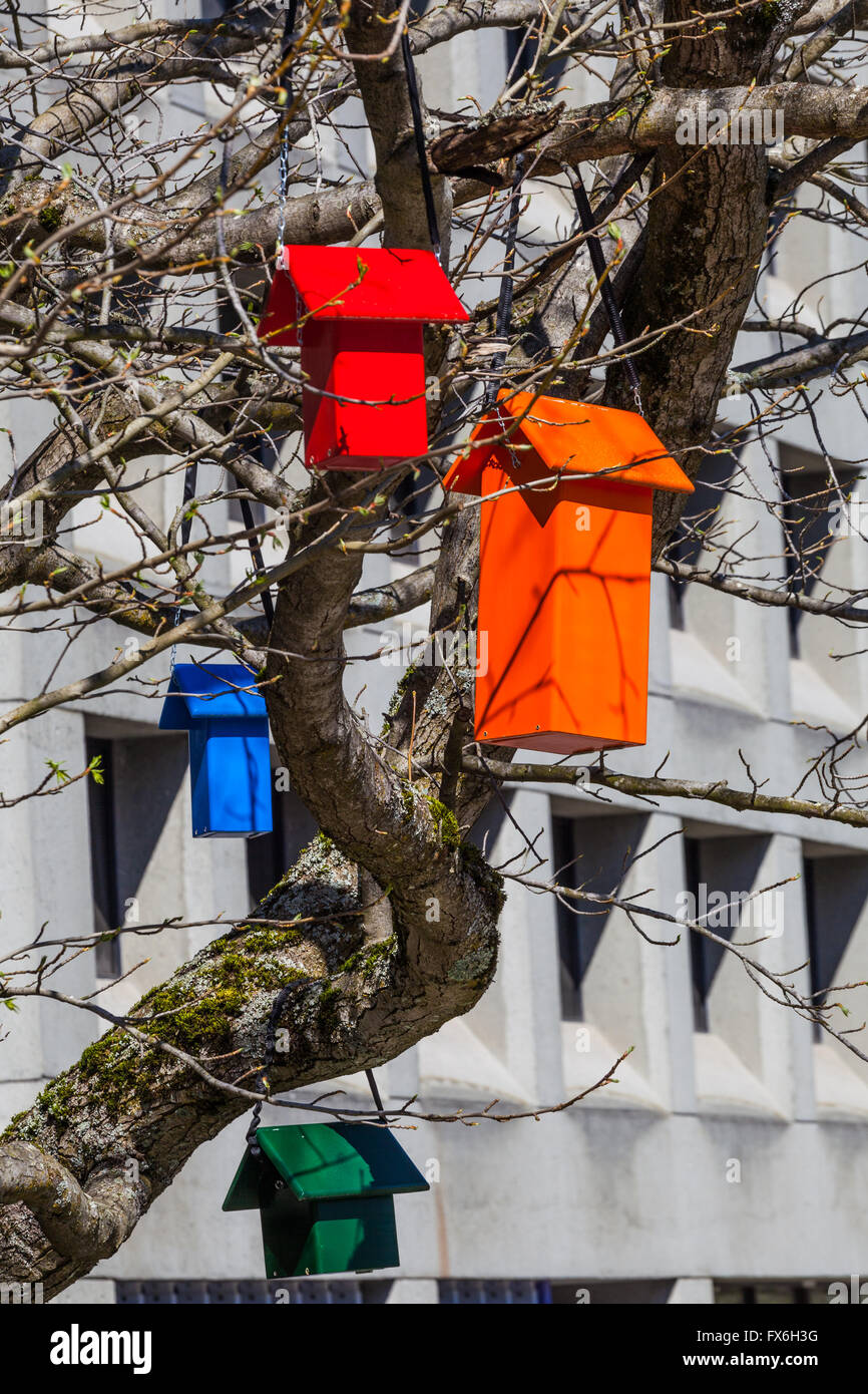 Colourful nesting boxes for all sizes of birds hanging in one tree ...