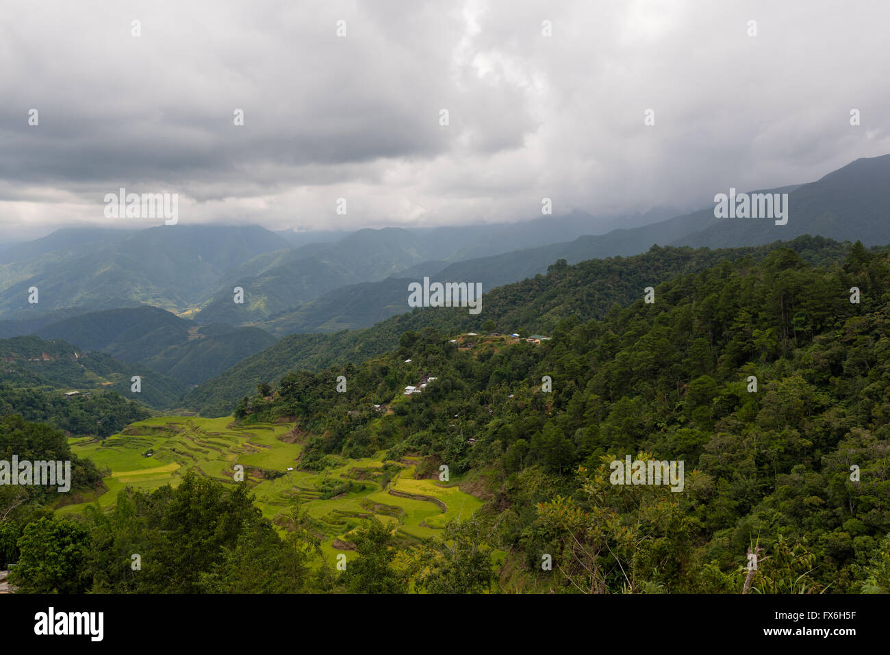Batad rice terraces in Ifugao, Philippines Stock Photo - Alamy