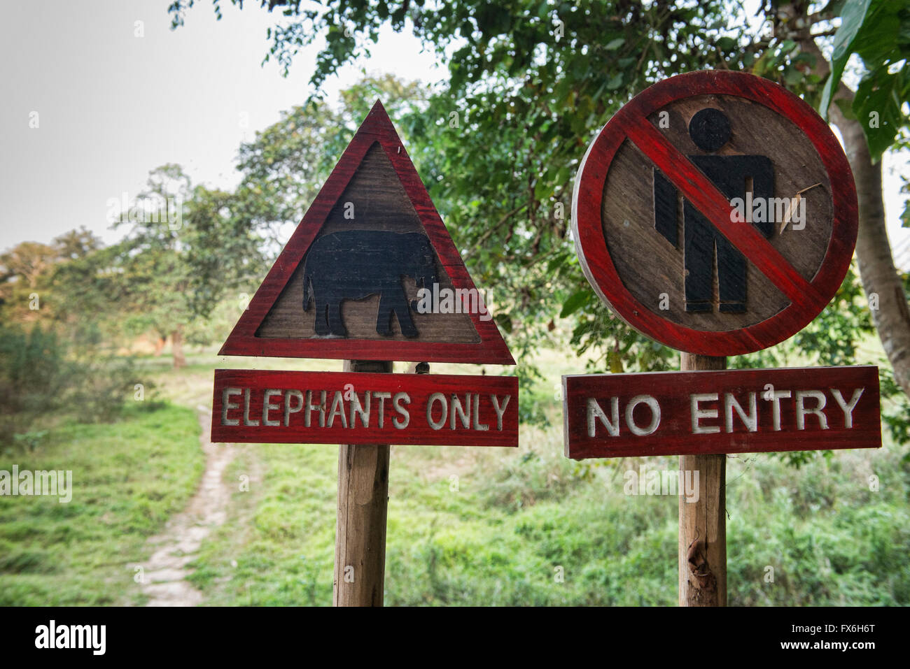 Elephant Crossing Sign High Resolution Stock Photography and Images - Alamy