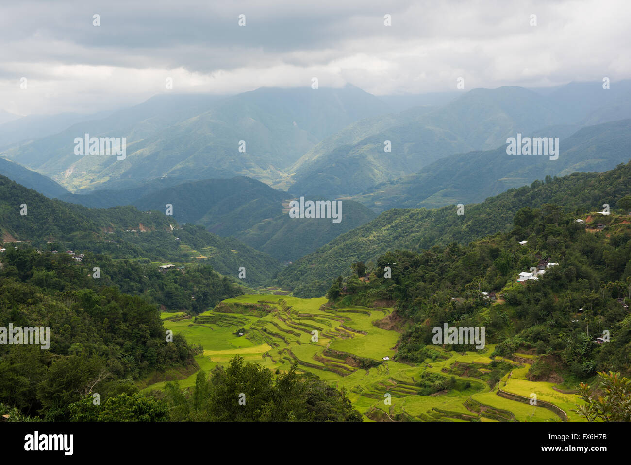 Batad rice terraces in Ifugao, Philippines Stock Photo - Alamy