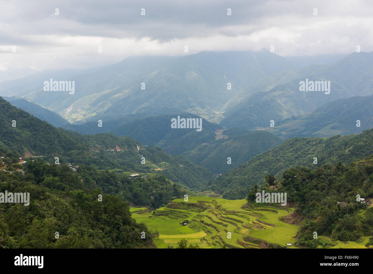 Batad rice terraces in Ifugao, Philippines Stock Photo - Alamy