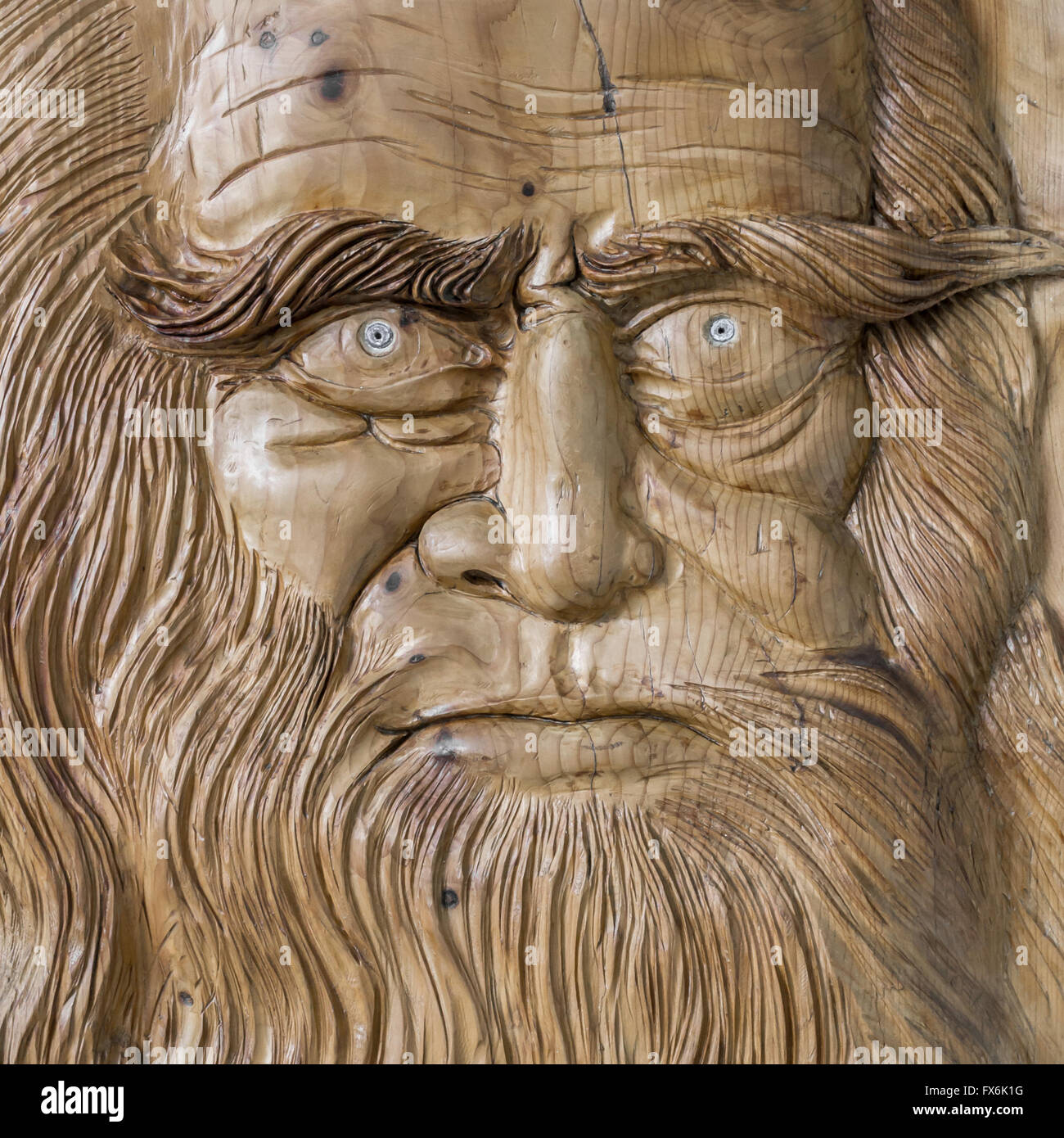 Close up of the face of Leonardo da Vinci, carved on a wooden board ...