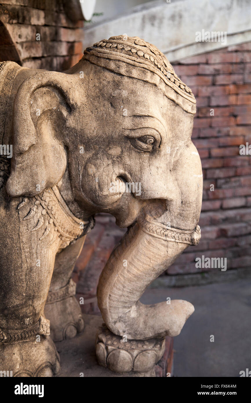 Decorated Elephant Thailand Asia High Resolution Stock Photography and ...