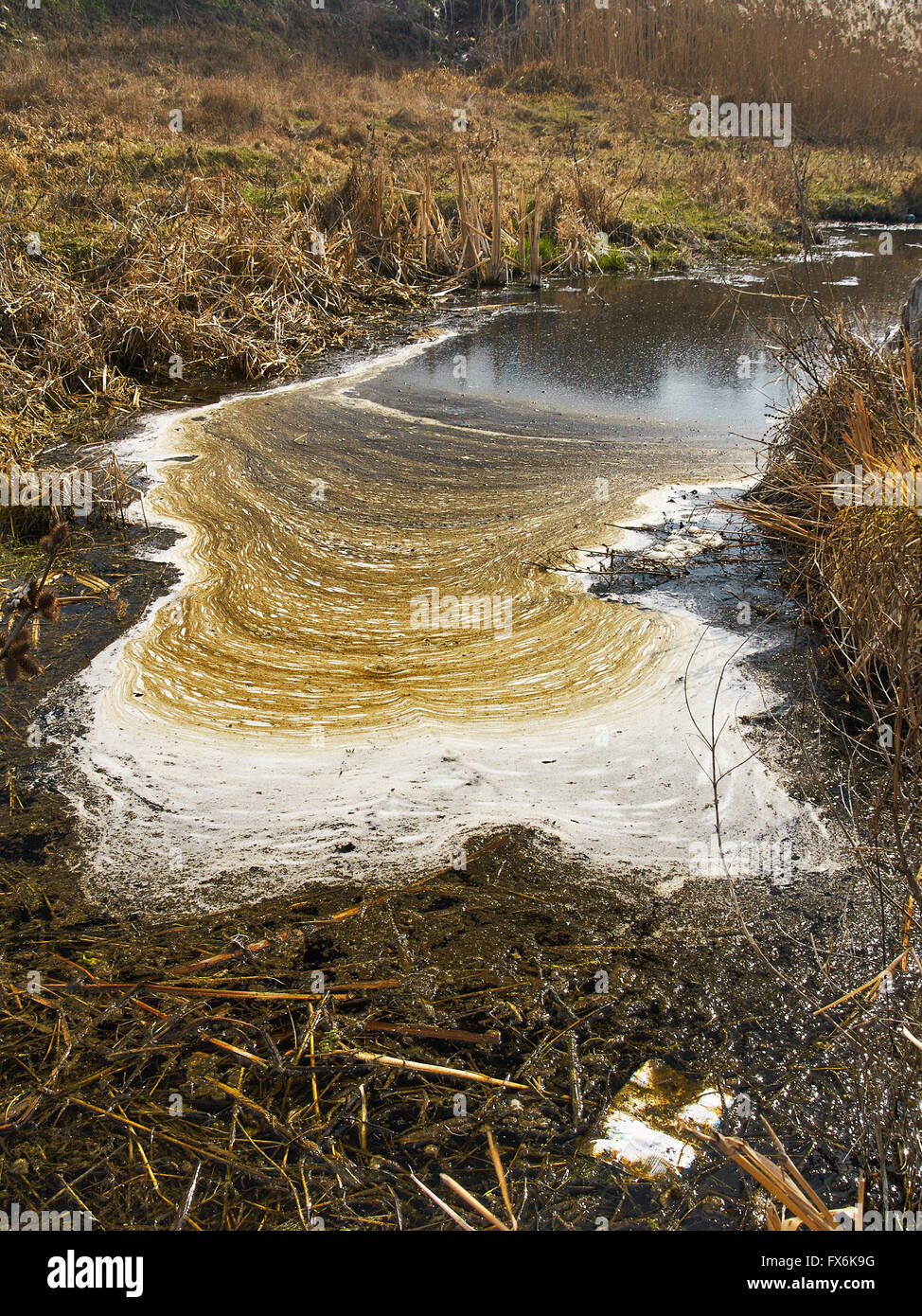 Polluted brook with brown waste scum Stock Photo - Alamy
