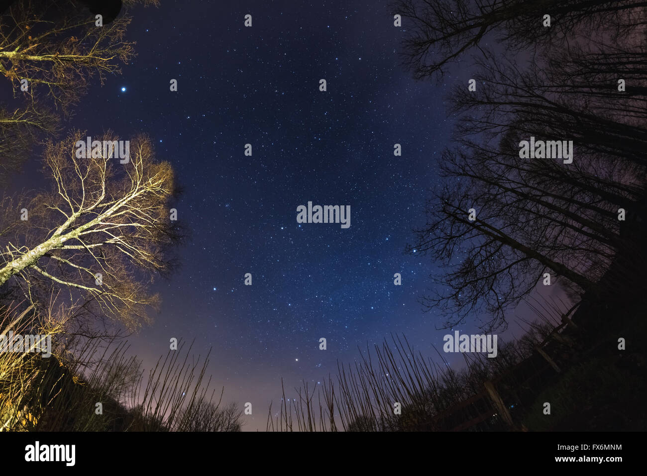 Fisheye view of the starry sky with blurred motion clouds, captured ...