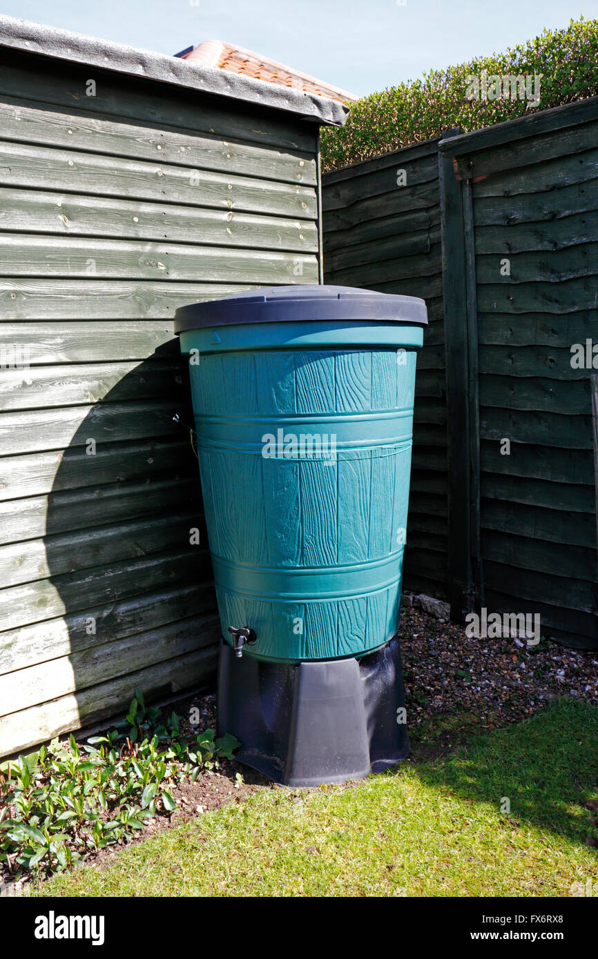 A water butt for storing excess rainwater in an urban back garden Stock ...