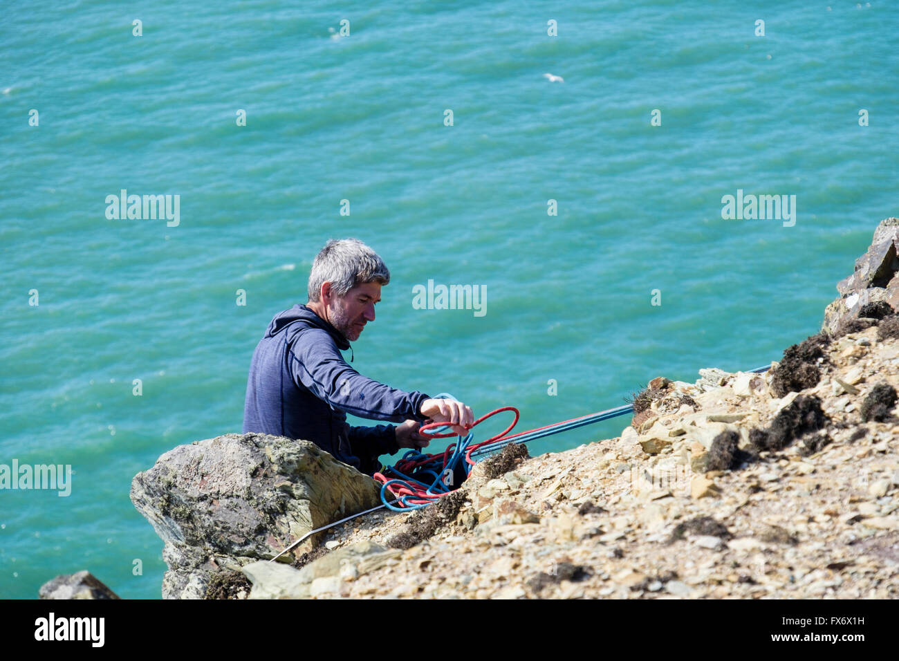Rock climber sorting rope at top of Gogarth coastal cliffs with sea ...