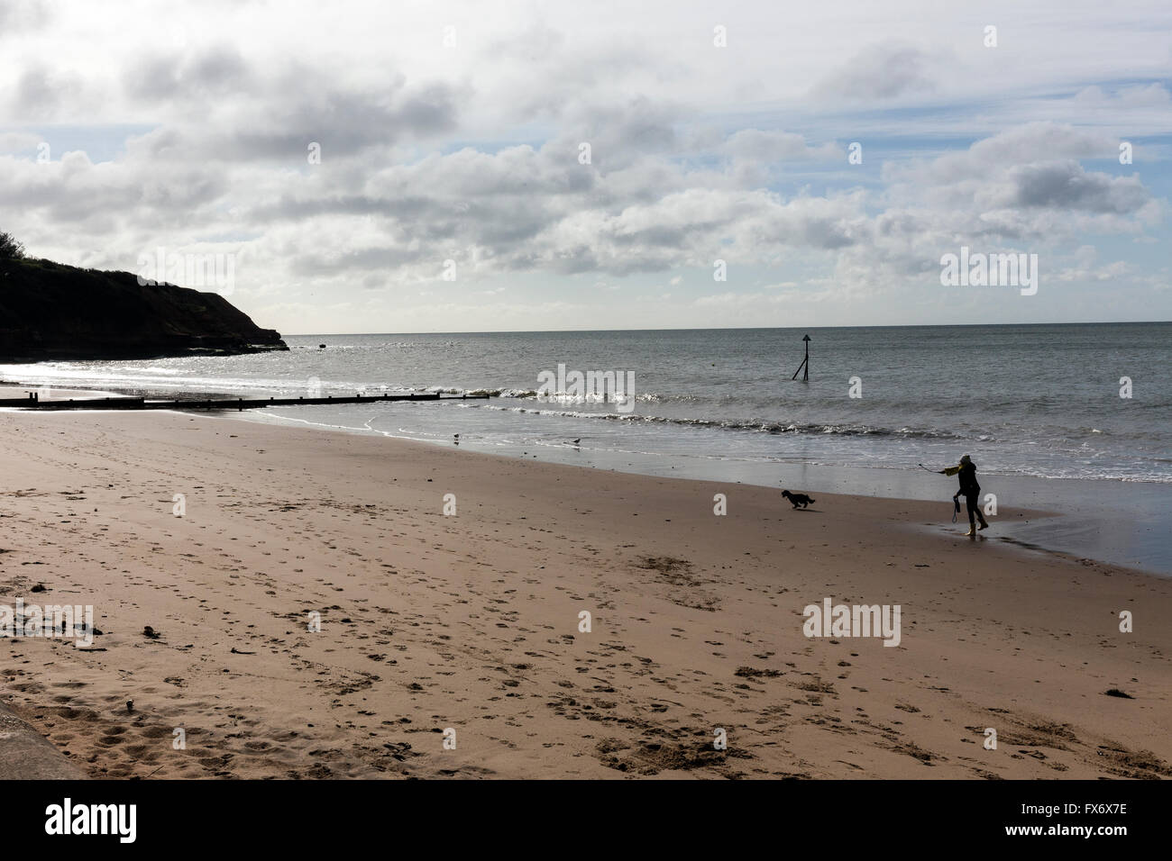 Groin on exmouth beach hi-res stock photography and images - Alamy