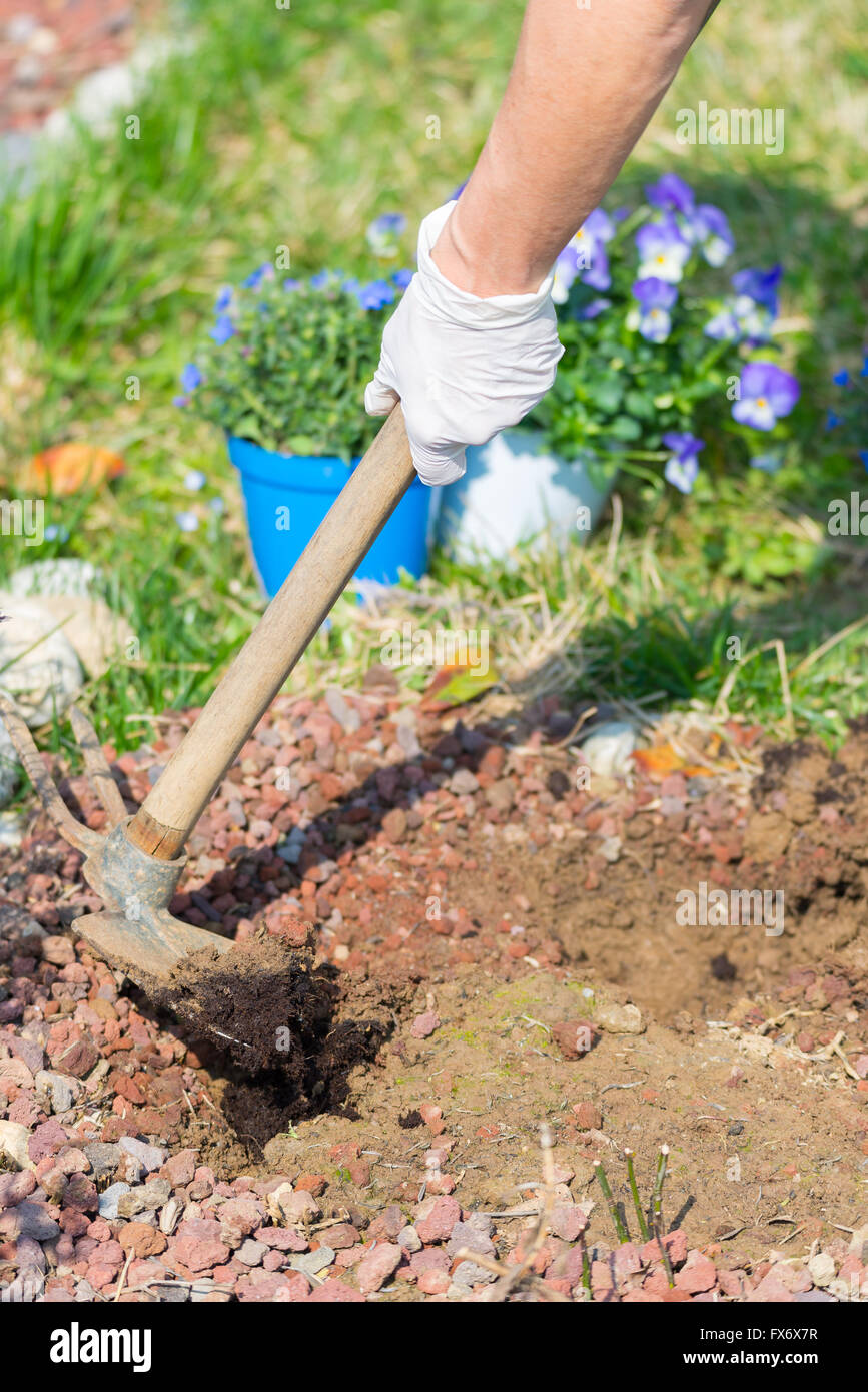 Hand hoeing hi-res stock photography and images - Alamy