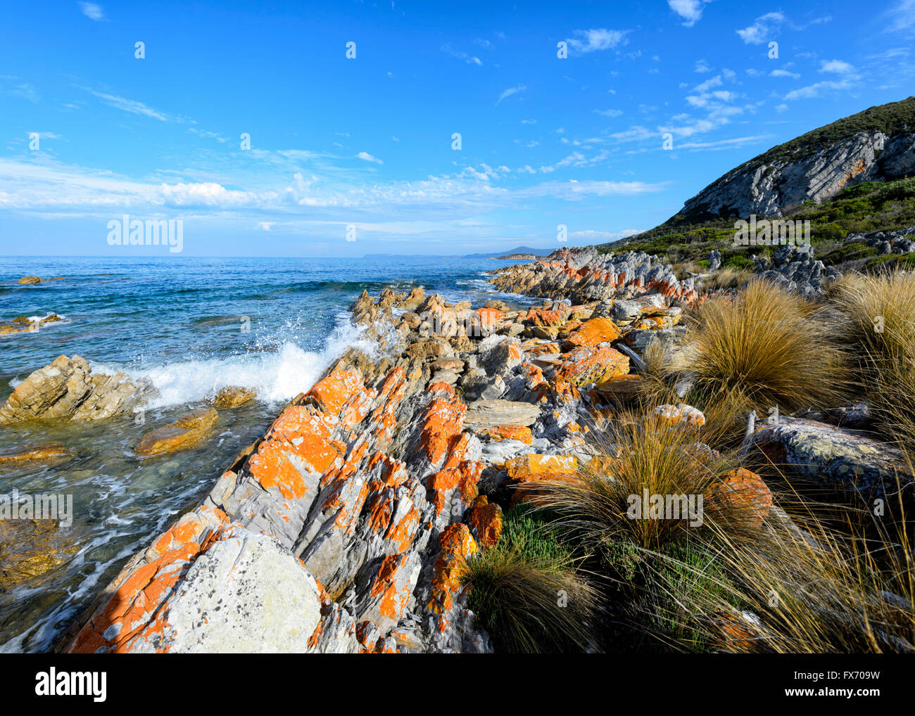 Rocky Coastline at Rocky Cape National Park, Tasmania, Australia Stock ...