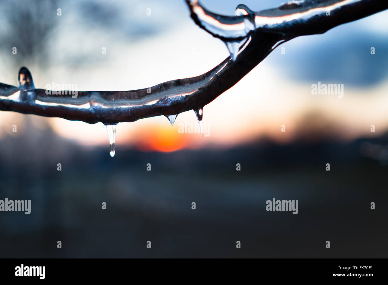 Ice drops into sunset Stock Photo - Alamy