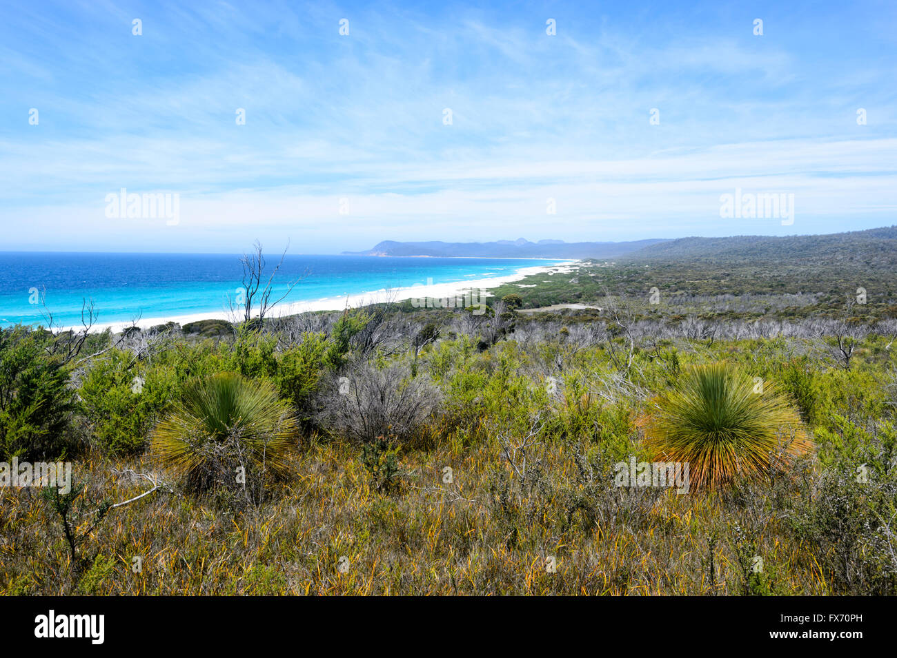 Friendly beaches hi-res stock photography and images - Alamy