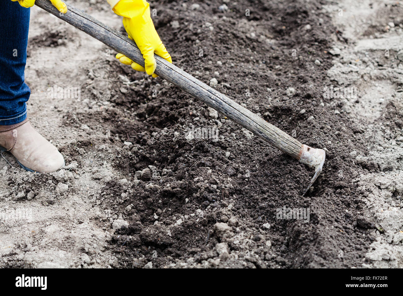 Seedbed hi-res stock photography and images - Alamy