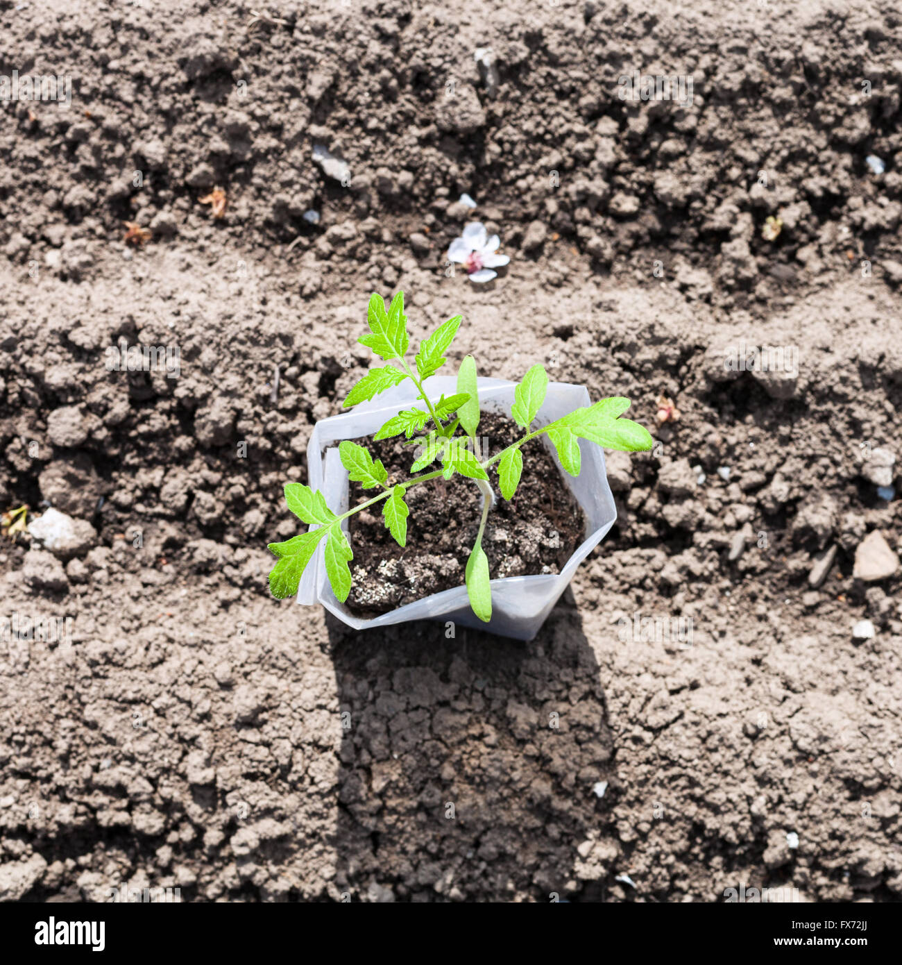 Tomato tube hi-res stock photography and images - Alamy