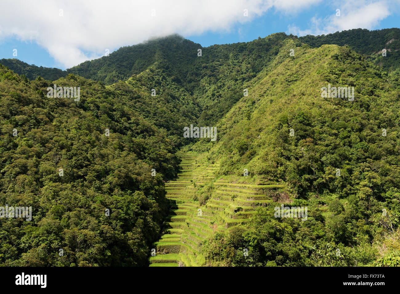 Batad rice terraces in Ifugao, Philippines Stock Photo - Alamy