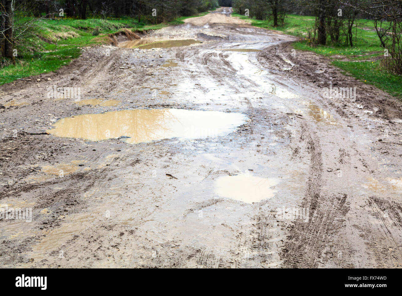 rainy puddles on dirty country road in spring Stock Photo - Alamy