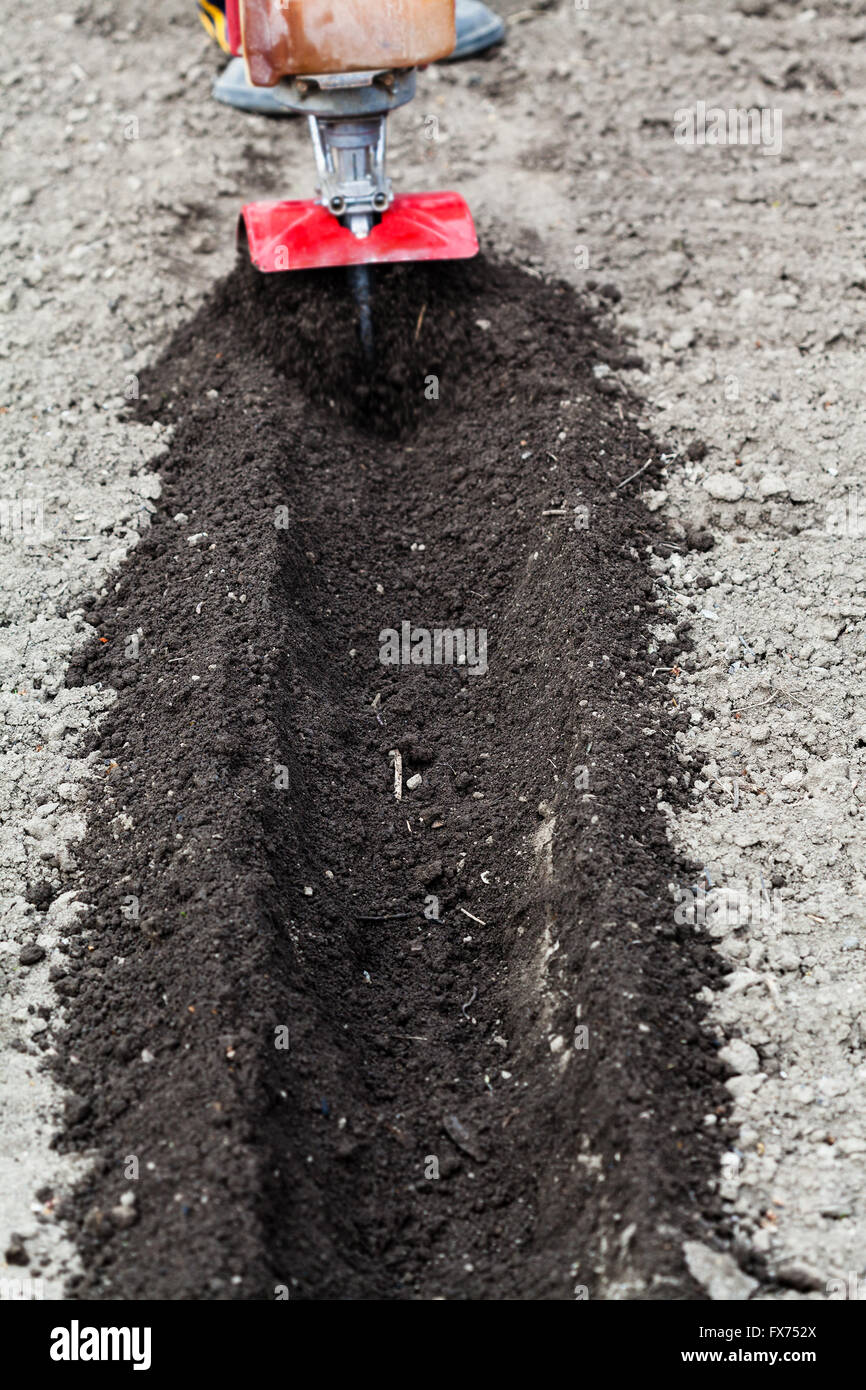 planting vegetables in garden - farmer makes seedbed by tiller in ...