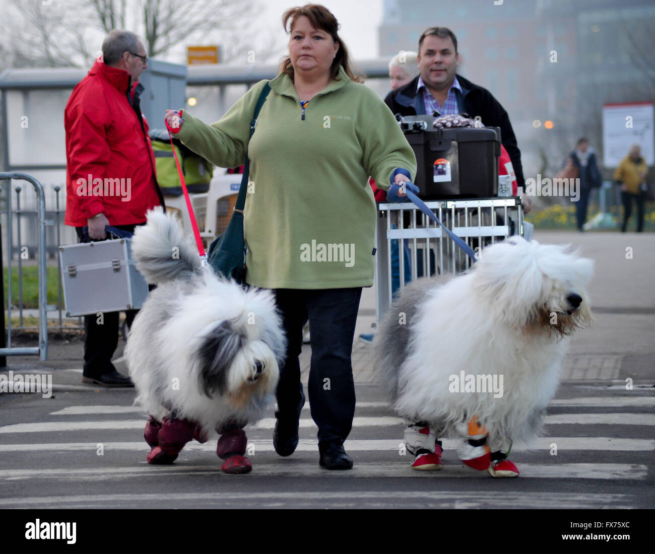Crufts 2016 at NEC Birmingham - Day 3 Featuring: Atmosphere Where ...