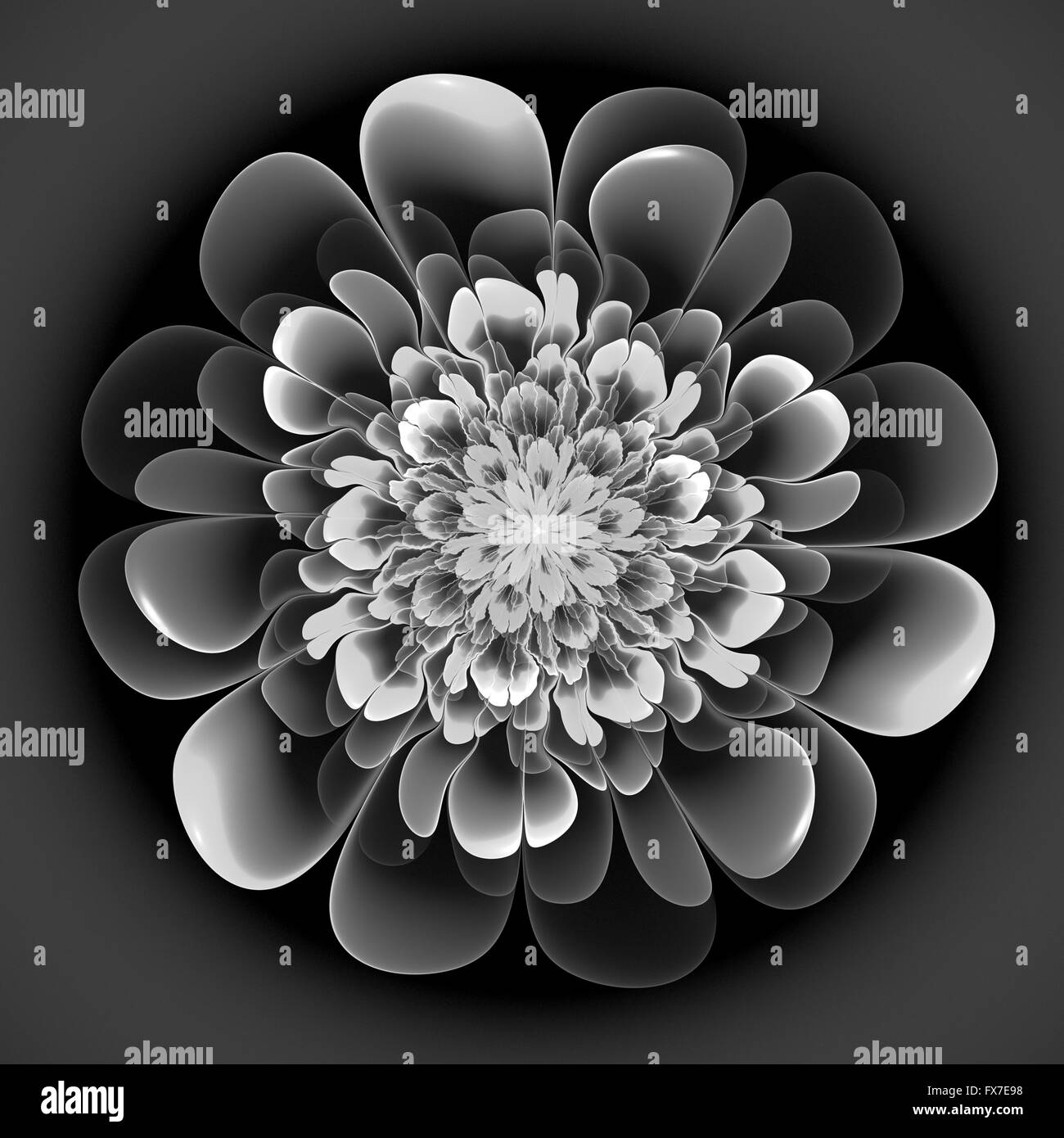 Dynamic flower Black and White Stock Photos & Images - Alamy