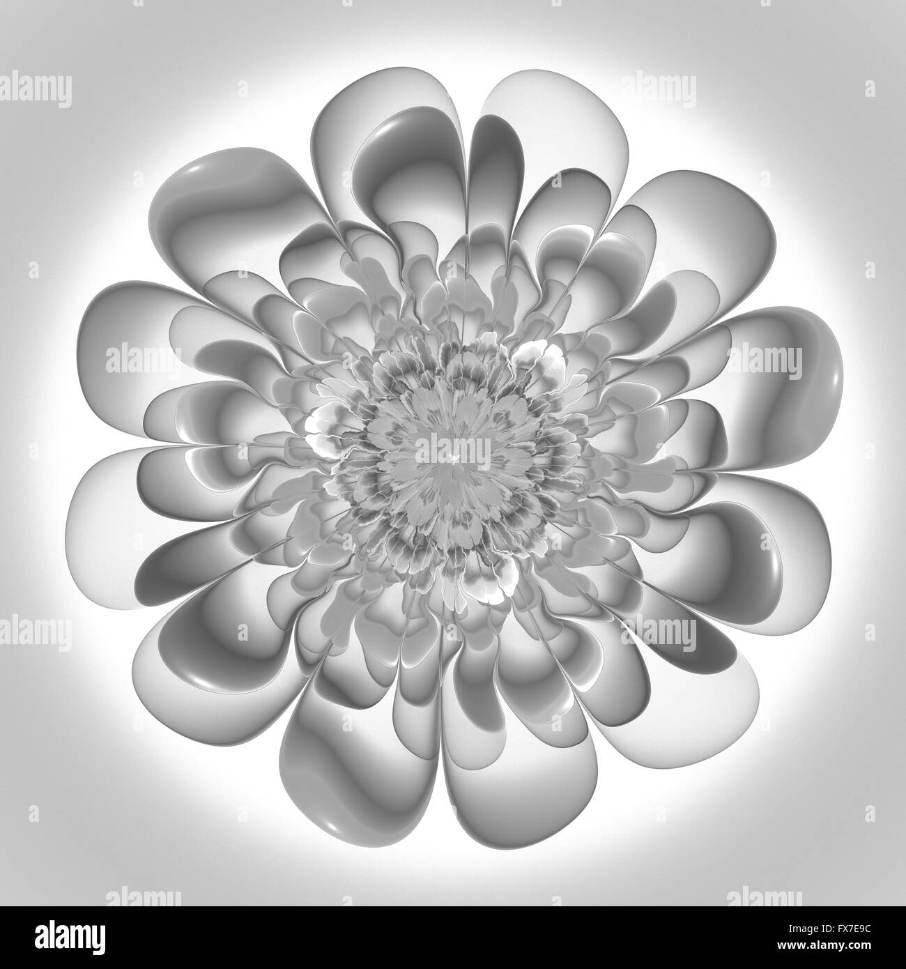 Dynamic flower Black and White Stock Photos & Images - Alamy