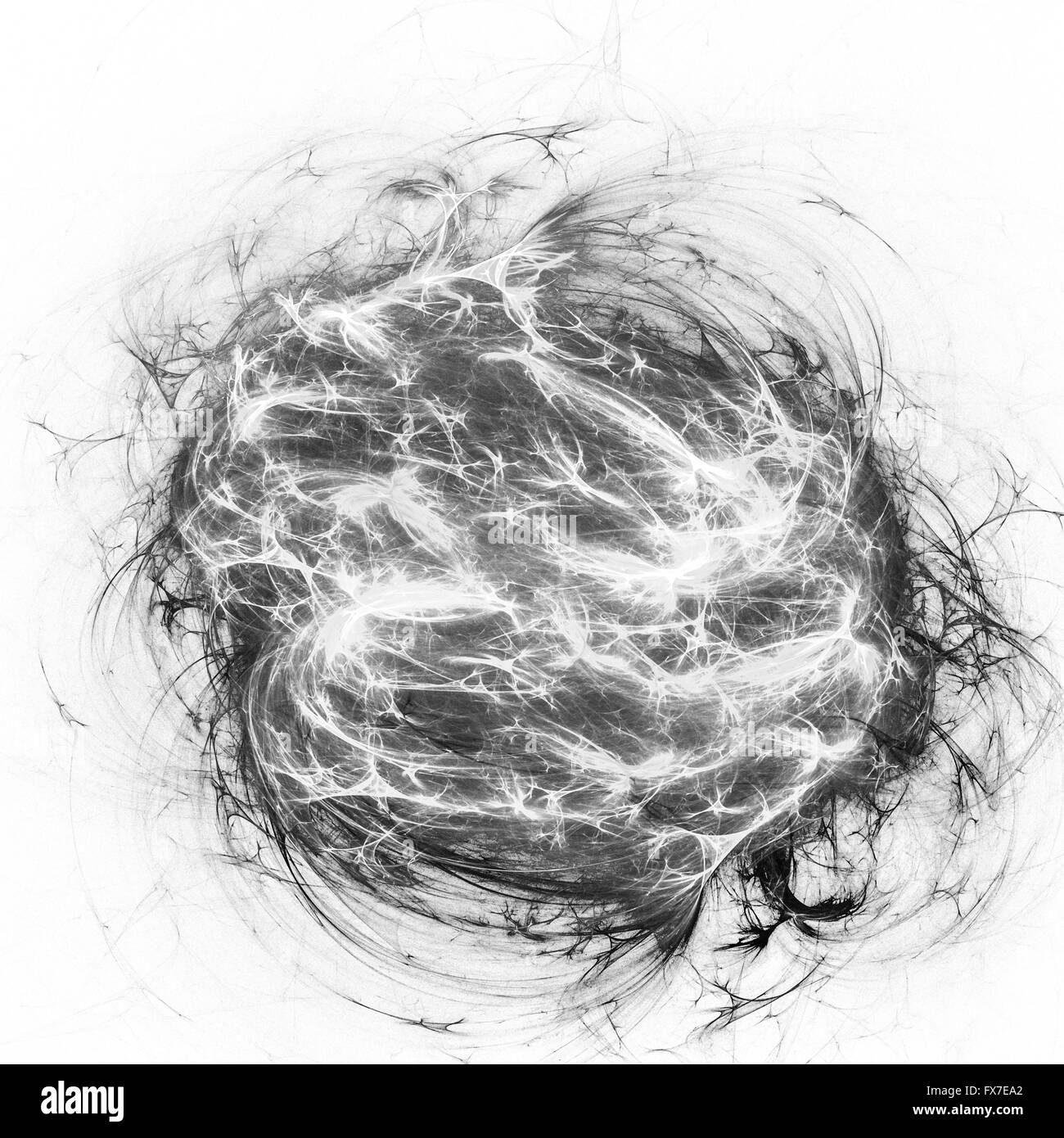 Flower color explosion Black and White Stock Photos & Images - Alamy