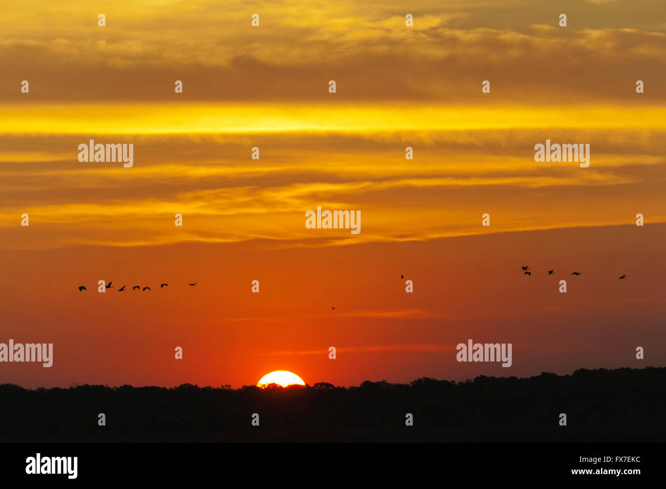Flying Past The Sun High Resolution Stock Photography and Images - Alamy