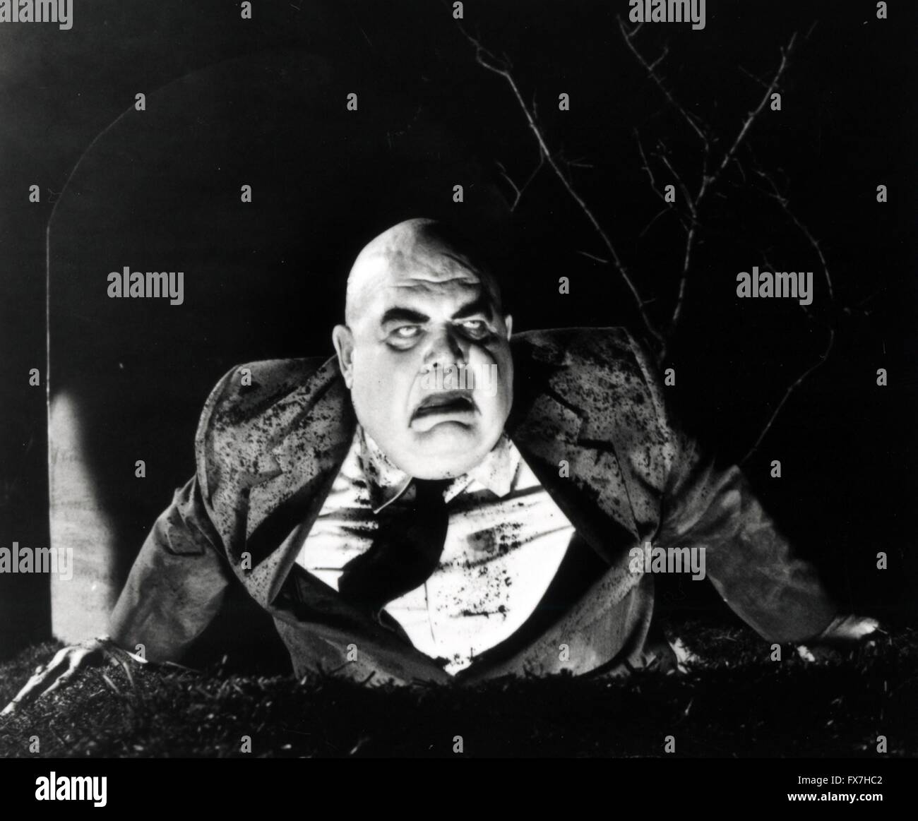 George The Animal Steele Young