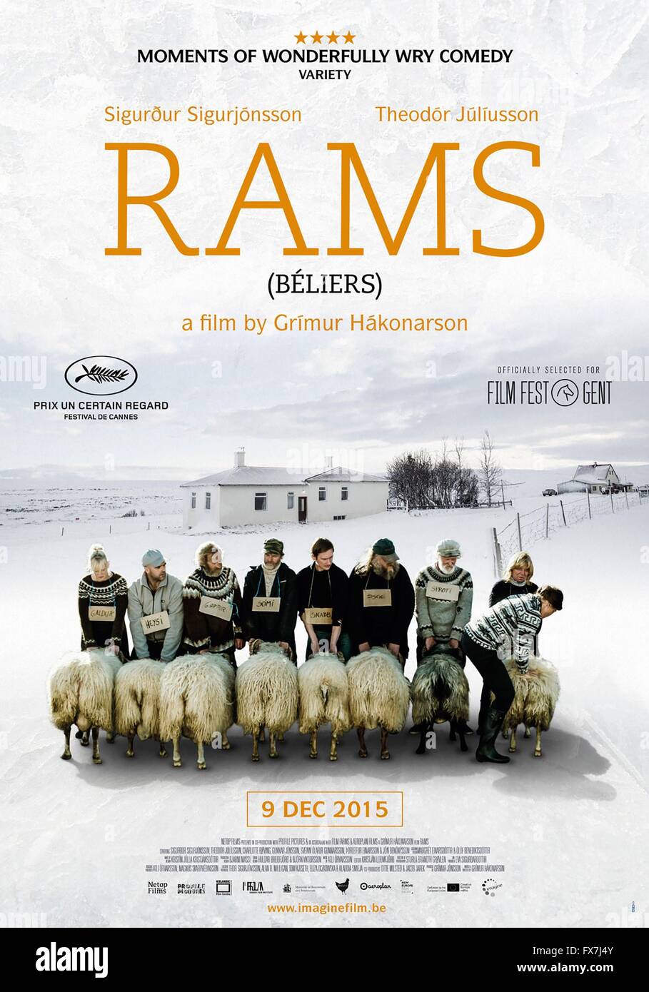 Hrutar Rams Year : 2015 Iceland Director : Grimur Hakonarson Movie ...
