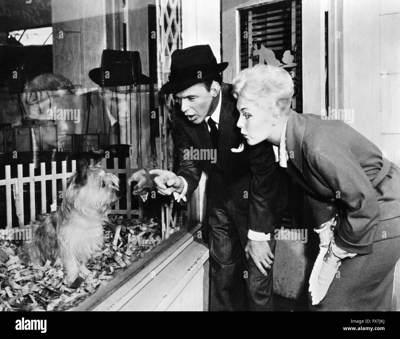 Pal Joey Year : 1957 USA Director : George Sidney Frank Sinatra, Kim ...