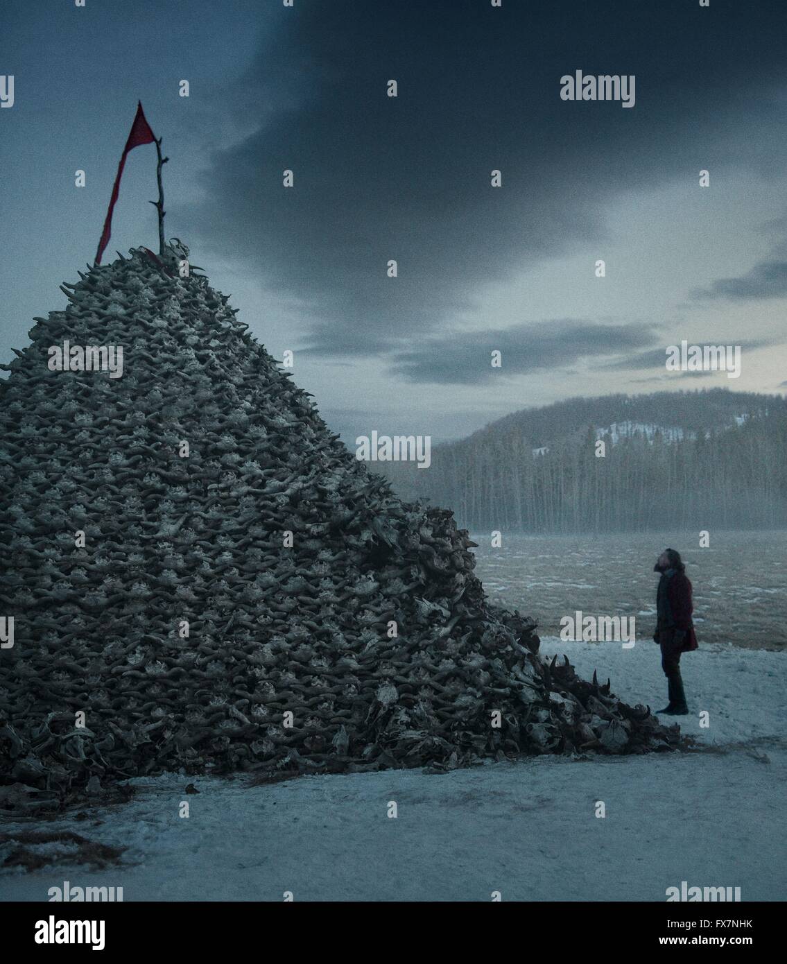 The Revenant Year : 2015 USA Director : Alejandro González Iñárritu ...