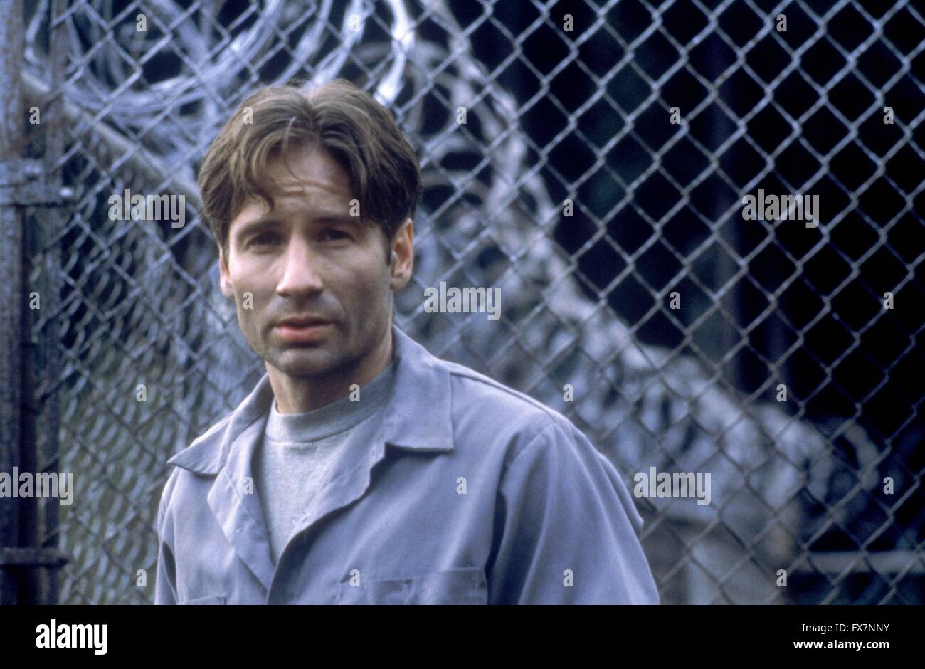 The X Files TV Series 1993 - 2002 USA 1996 Season 4 Created by Chris ...