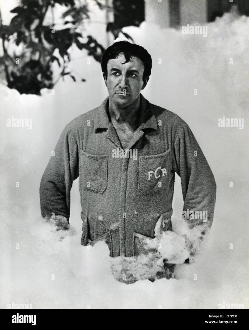 The Party Year : 1968 USA Director : Blake Edwards Peter Sellers Stock ...