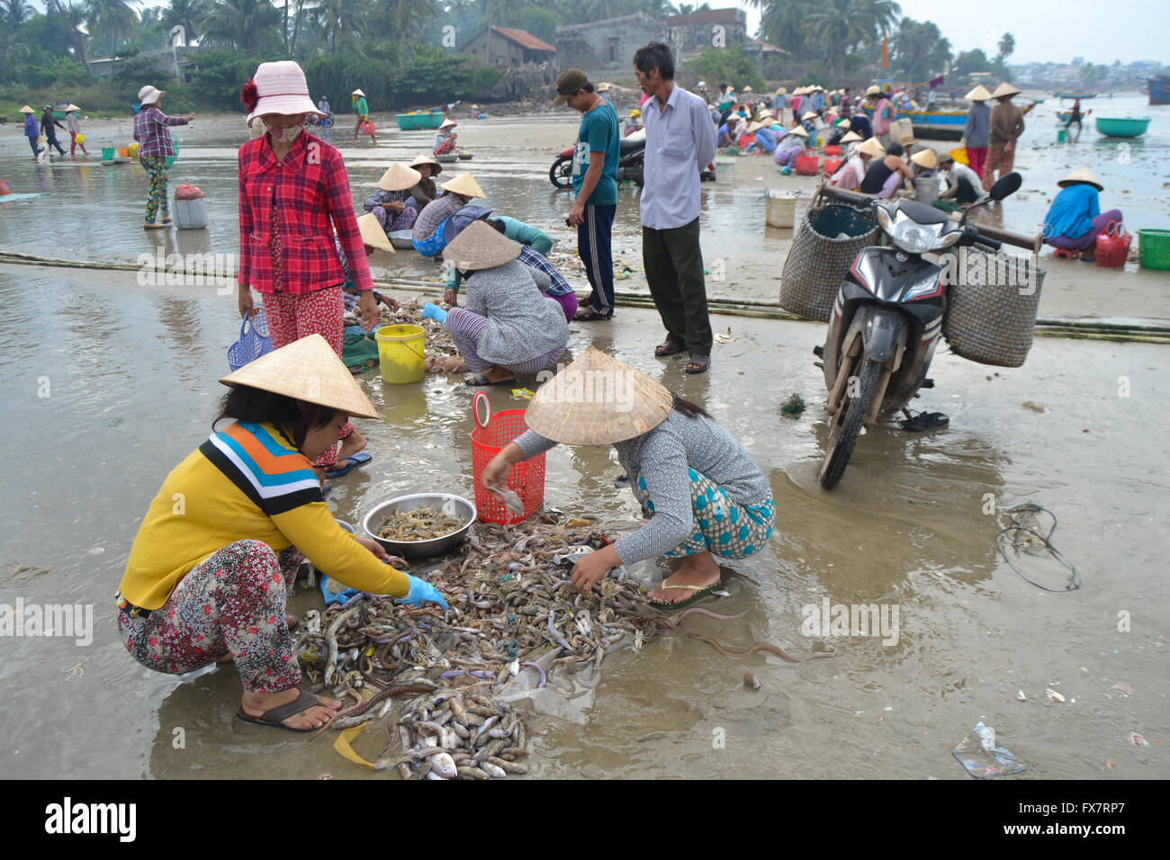 Vietnamese fish vendor hi-res stock photography and images - Alamy
