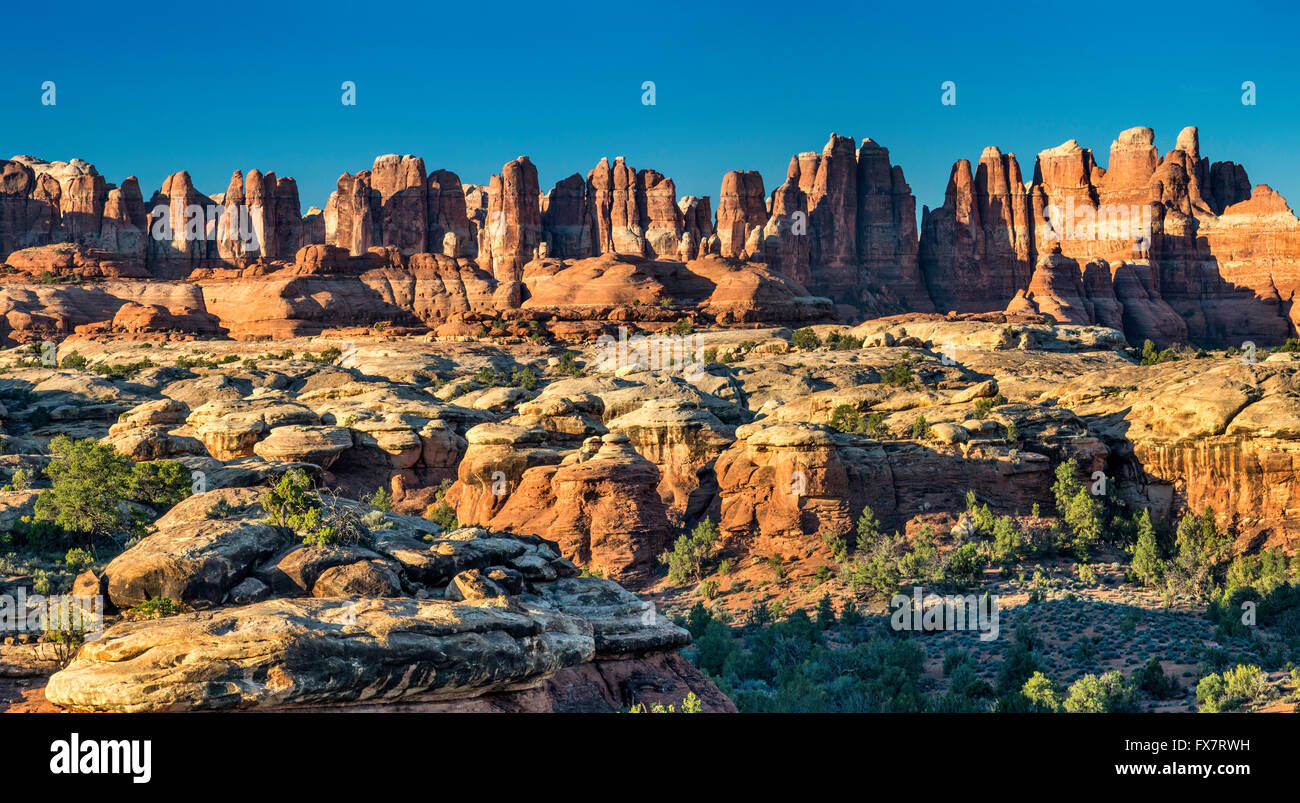 Rock spires near Squaw Flat Campground at sunrise, The Needles section ...