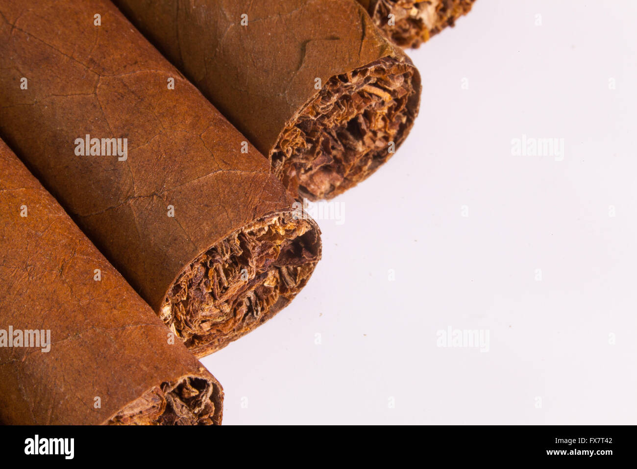Detail of luxury Cuban cigars on the white background Stock Photo - Alamy