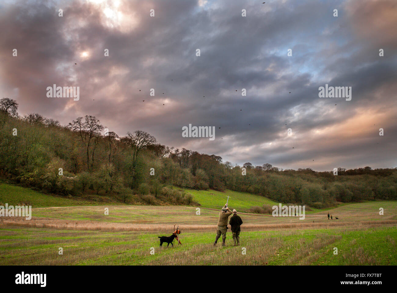 Angmering hi-res stock photography and images - Alamy